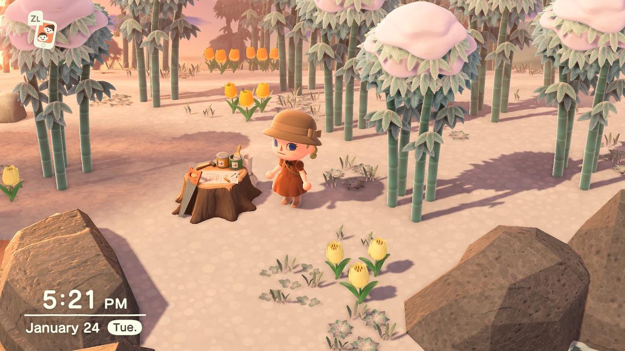 Guides | Animal Crossing Community